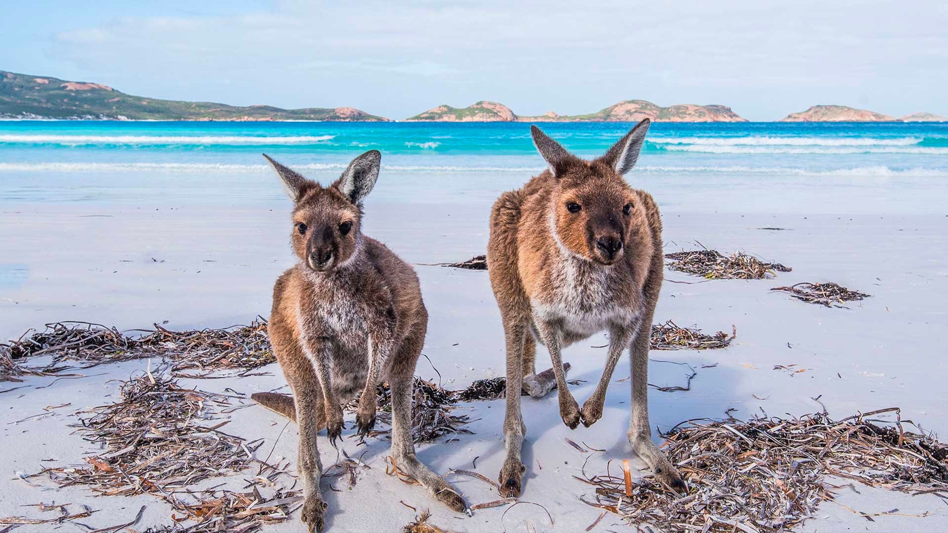 11 BEST Language Schools in Australia | Learn to Speak English